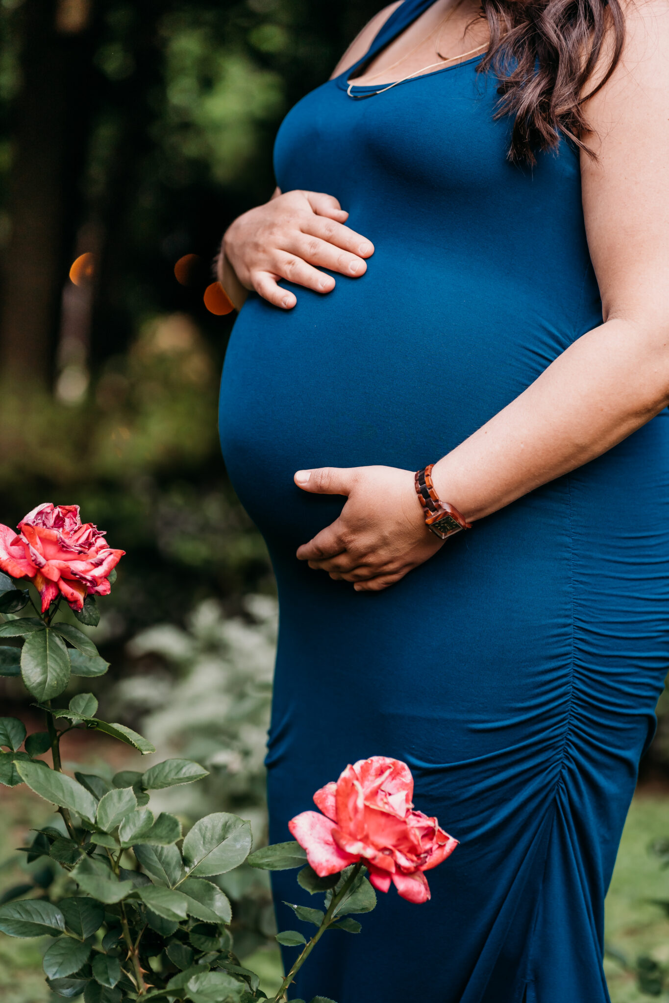 Blog | Nicole Bertrand Photography